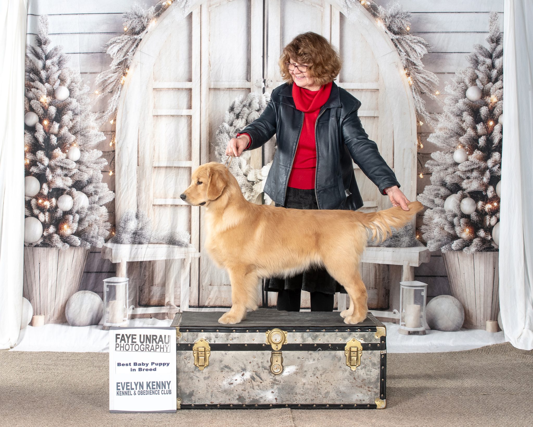 Goldenmoments Golden Retrievers – Golden Retrievers, Calgary, Alberta ...
